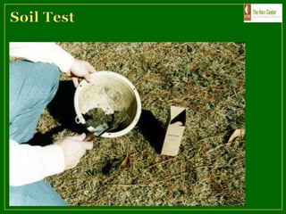 Soil Testing, Soil Sampling, & Soil Fertility | PPTX
