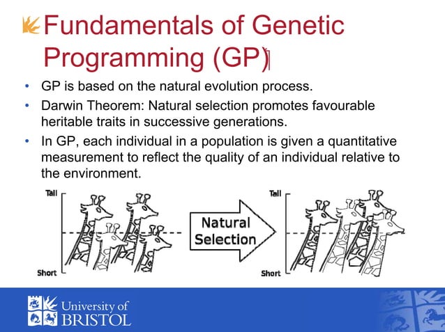 Genetic Programming In Automated Test Code Generation Ppt
