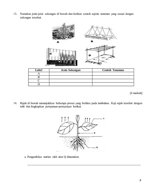 Kertas 1 SAINS PERTANIAN TINGKATAN 4 | DOCX