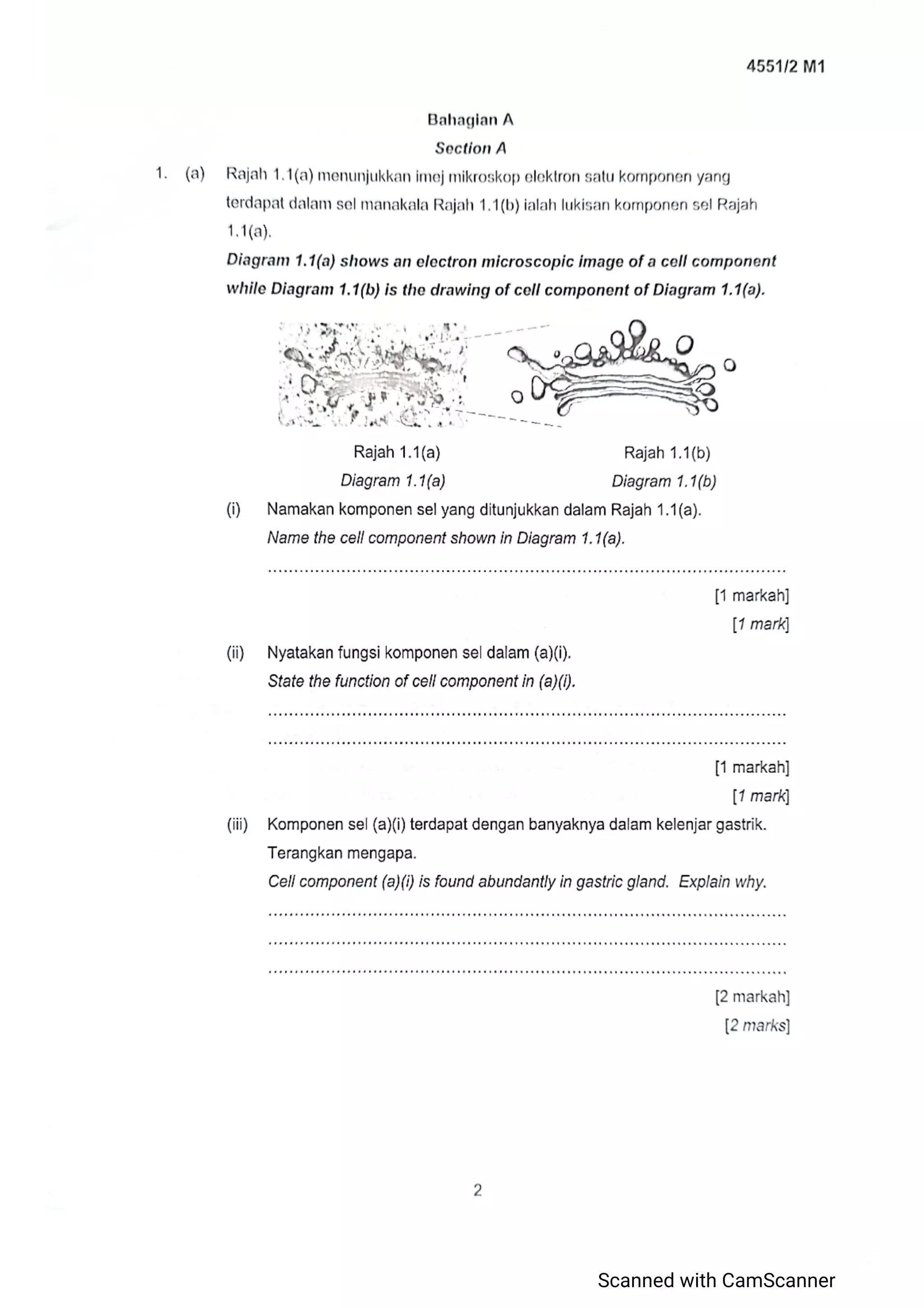 Kertas 2 Trial Spm Kedah Pdf