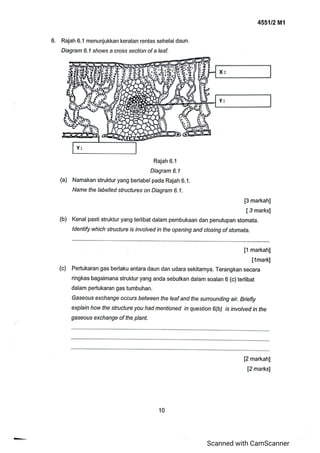 Kertas 2 Trial Spm Kedah Pdf