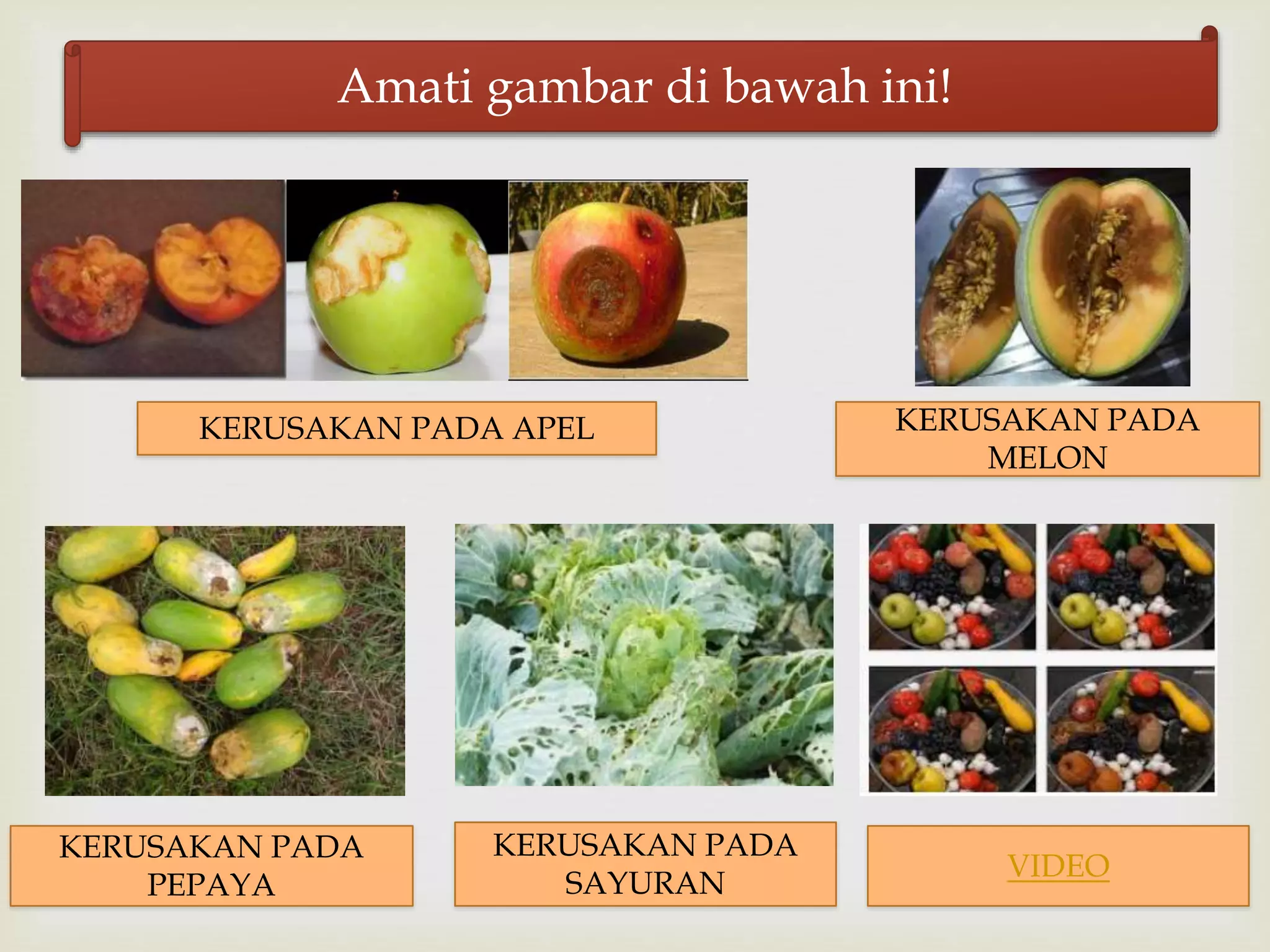 Kerusakan bahan pangan 2 | PPTX