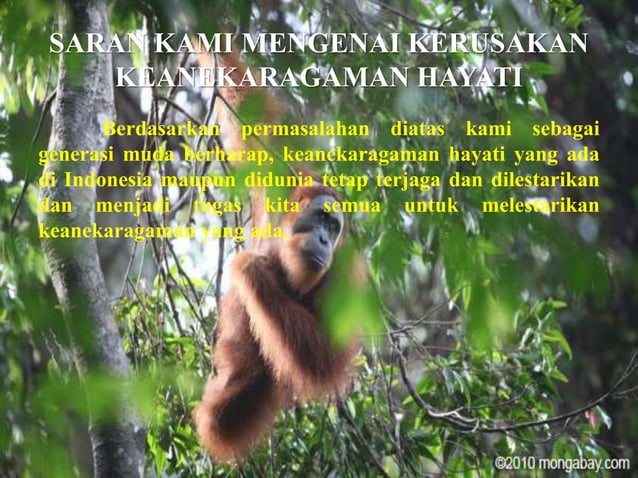 Kerusakan Keanekaragaman Hayati