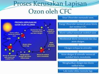 Kerusakanlapisanozon | PPT