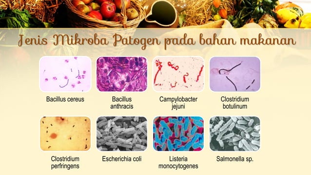 Kerusakan mikrobiologis pada makanan | PPT | Free Download