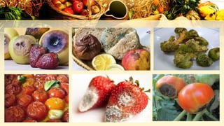 Begini Cara Mendeteksi Kerusakan Pada Bahan Pangan – PROGRAM STUDI GIZI