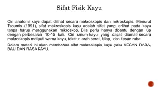 KESAN RABA BAU DAN RASA.pptx