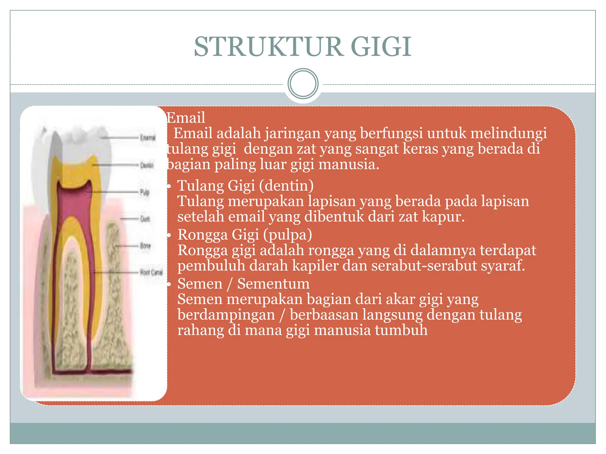 ppt kesehatan gigi dan mulut serta cara menyikat gigi dengan baik dan ...