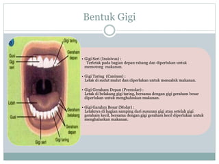 ppt kesehatan gigi dan mulut serta cara menyikat gigi dengan baik dan ...