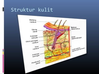 Kesehatan kulit | PPT
