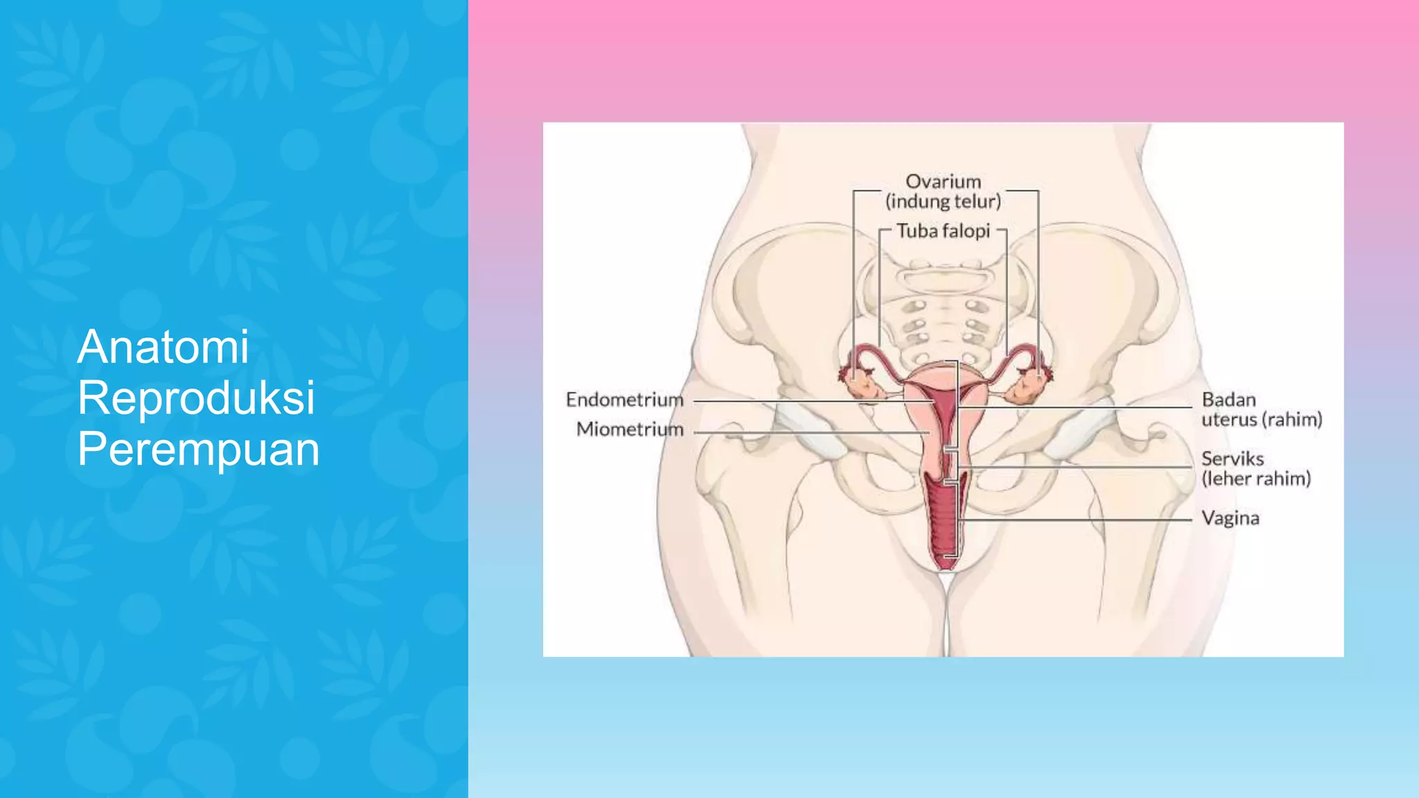 Kesehatan Reproduksi Remaja.pptx