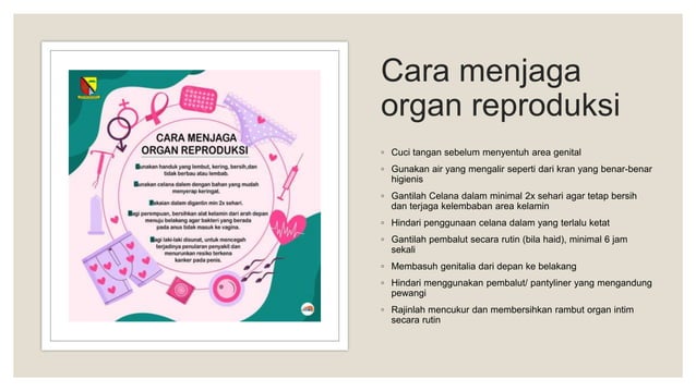 Kesehatan Reproduksi Remaja.pptx