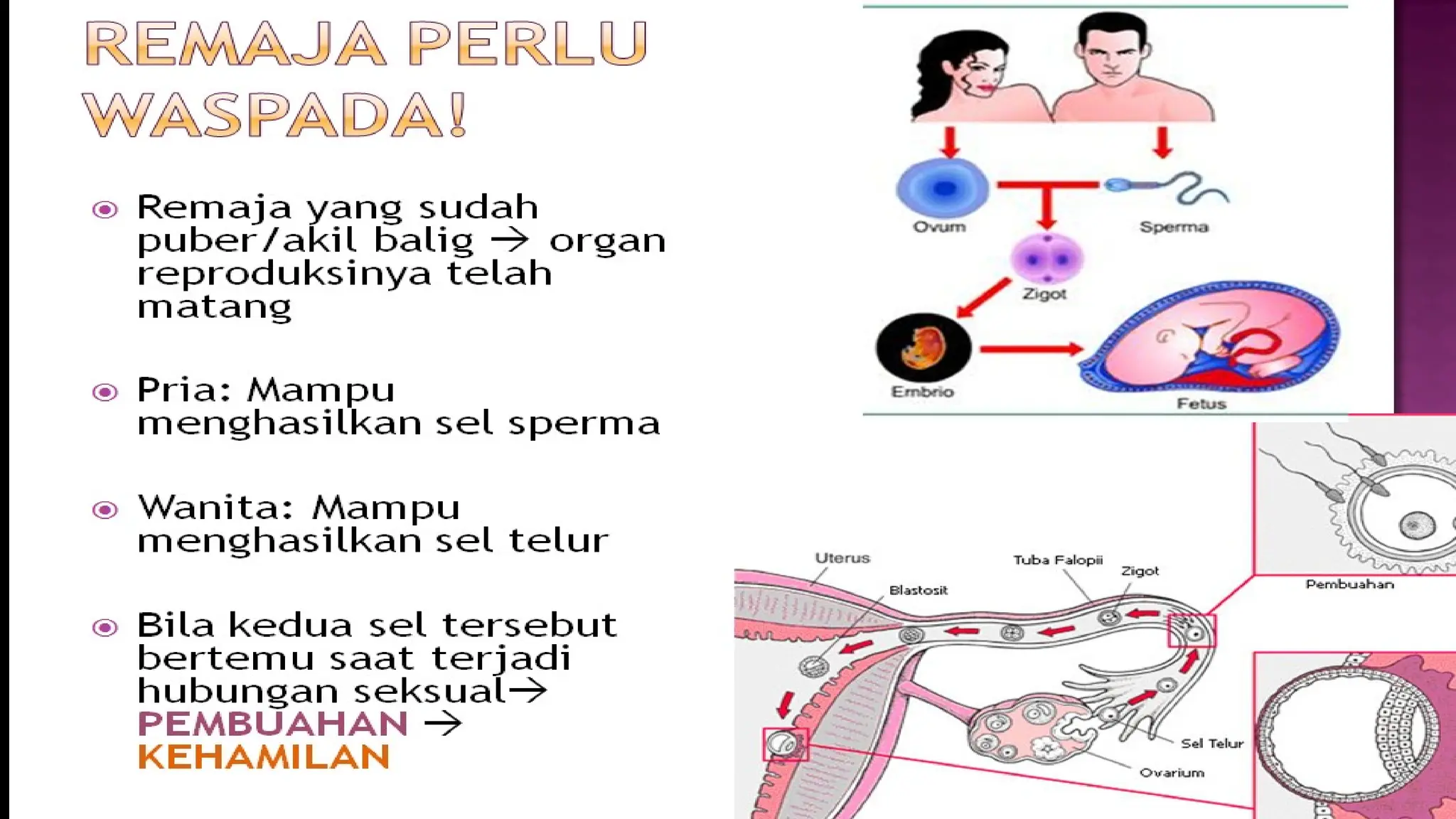 PENYULUHAN KESEHATAN REPRODUKSI REMAJA NURIL.pptx