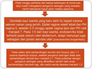 KESEHATAN WANITA SEPANJANG SIKLUS KEHIDUPAN. ok pptx.pptx