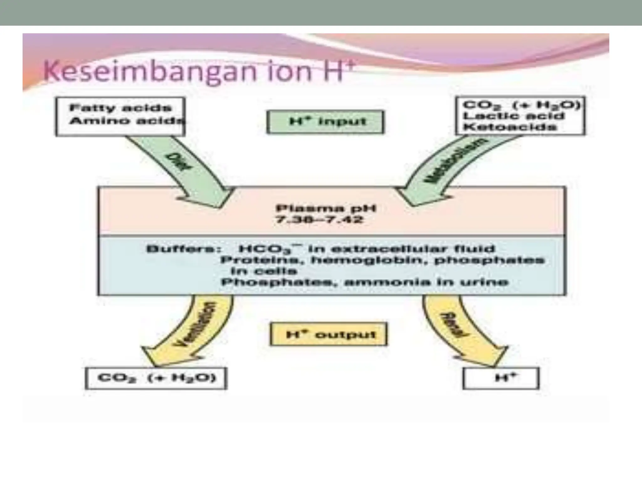 KESEIMBANGAN ASAM BASA.pptx