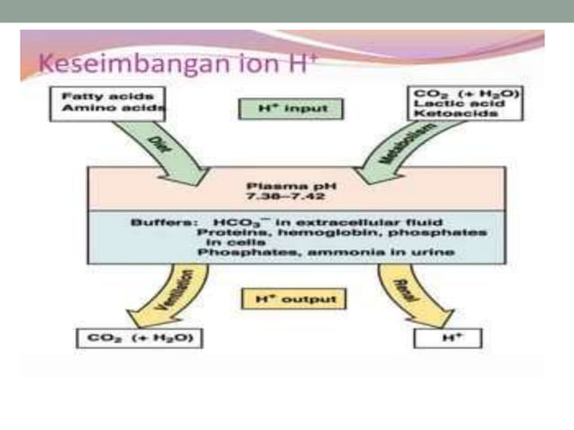KESEIMBANGAN ASAM BASA.pptx