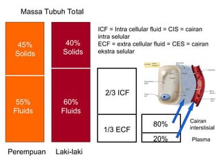 Keseimbangan Cairan dan Elektrolit. tubuh manusia membutuhkan ...