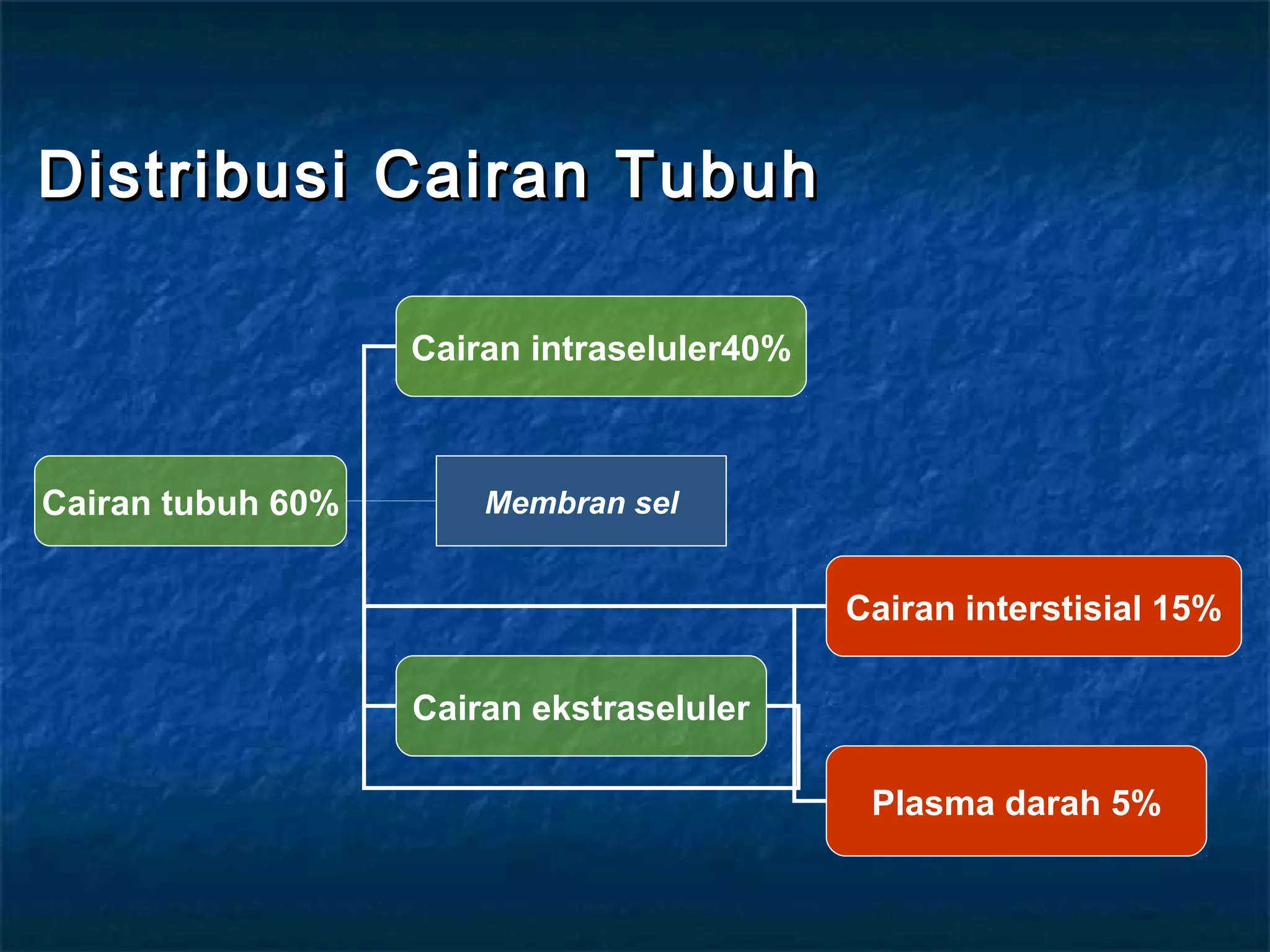 Keseimbangan cairan&elektrolit | PPT