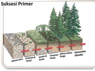 Keseimbangan Lingkungan bab 3 | PPTX
