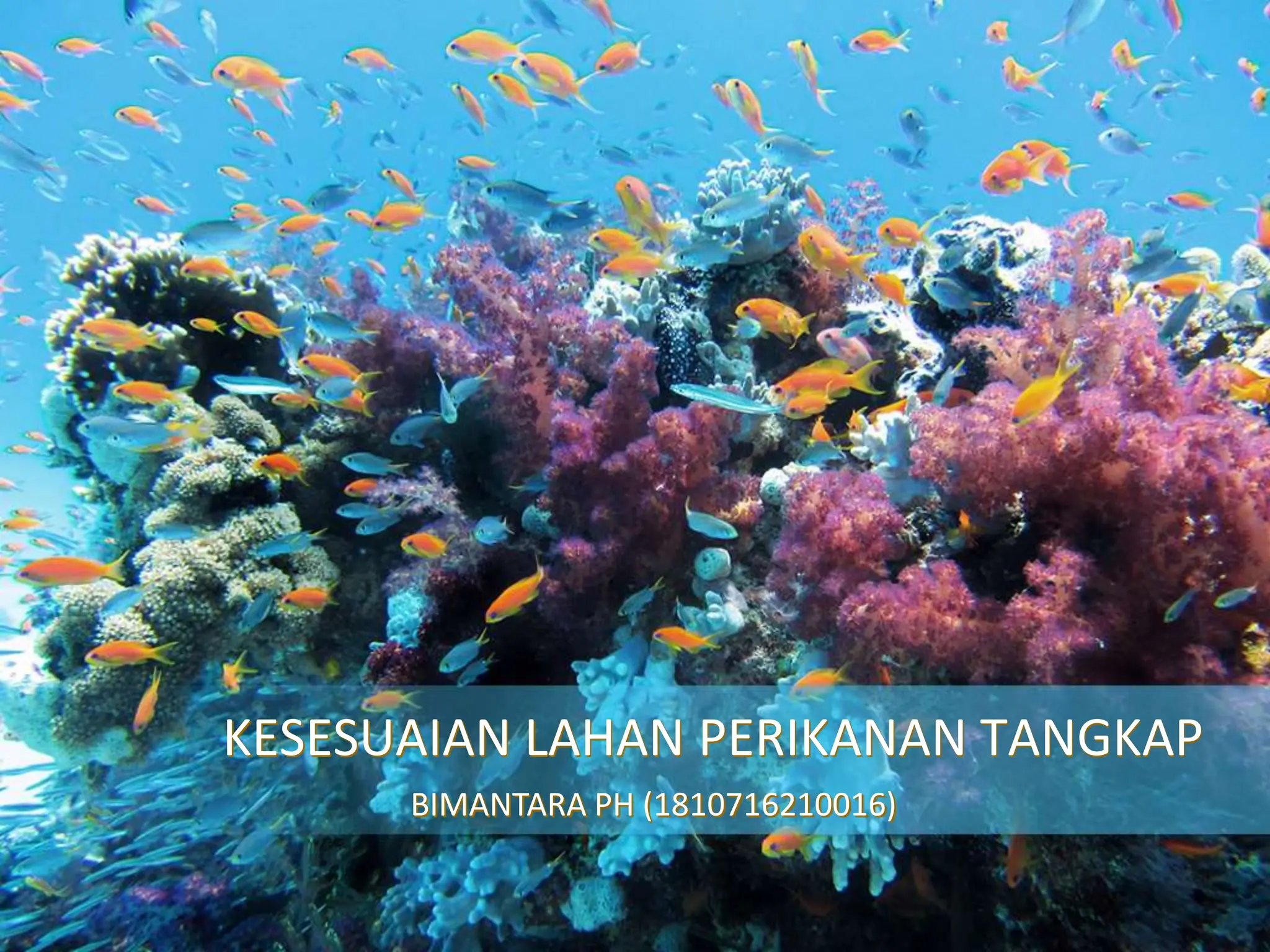 Kesesuaian Lahan Perikanan Tangkap_Bimantara PH_1810716210016.pptx