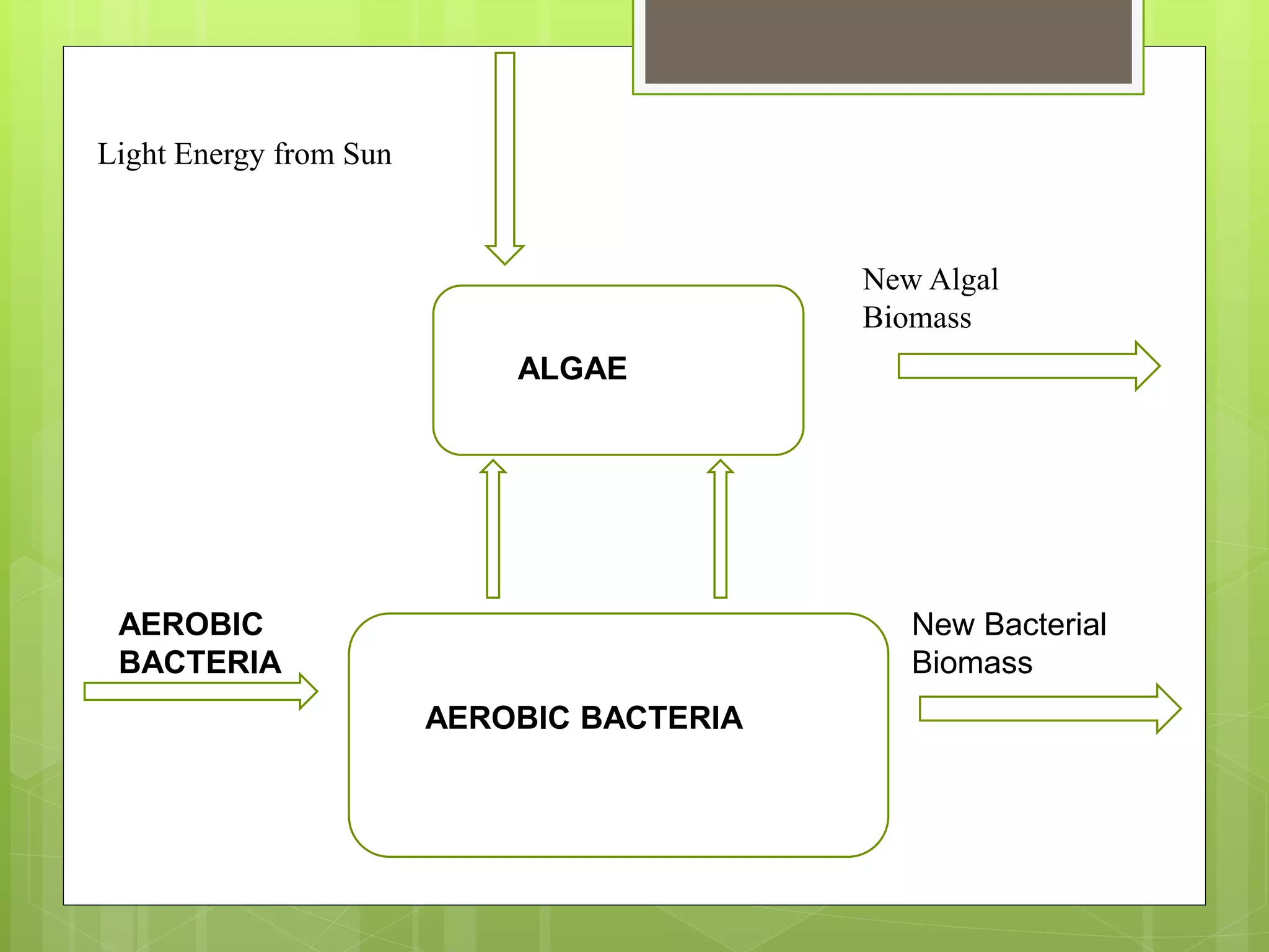 oxidation ponds & Lagoons | PPTX