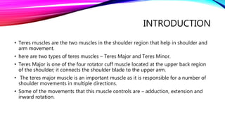 Teres Major and Minor Pain | PPTX