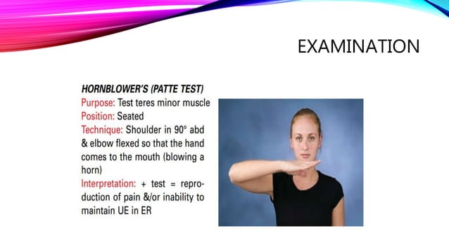 Teres Major and Minor Pain | PPTX