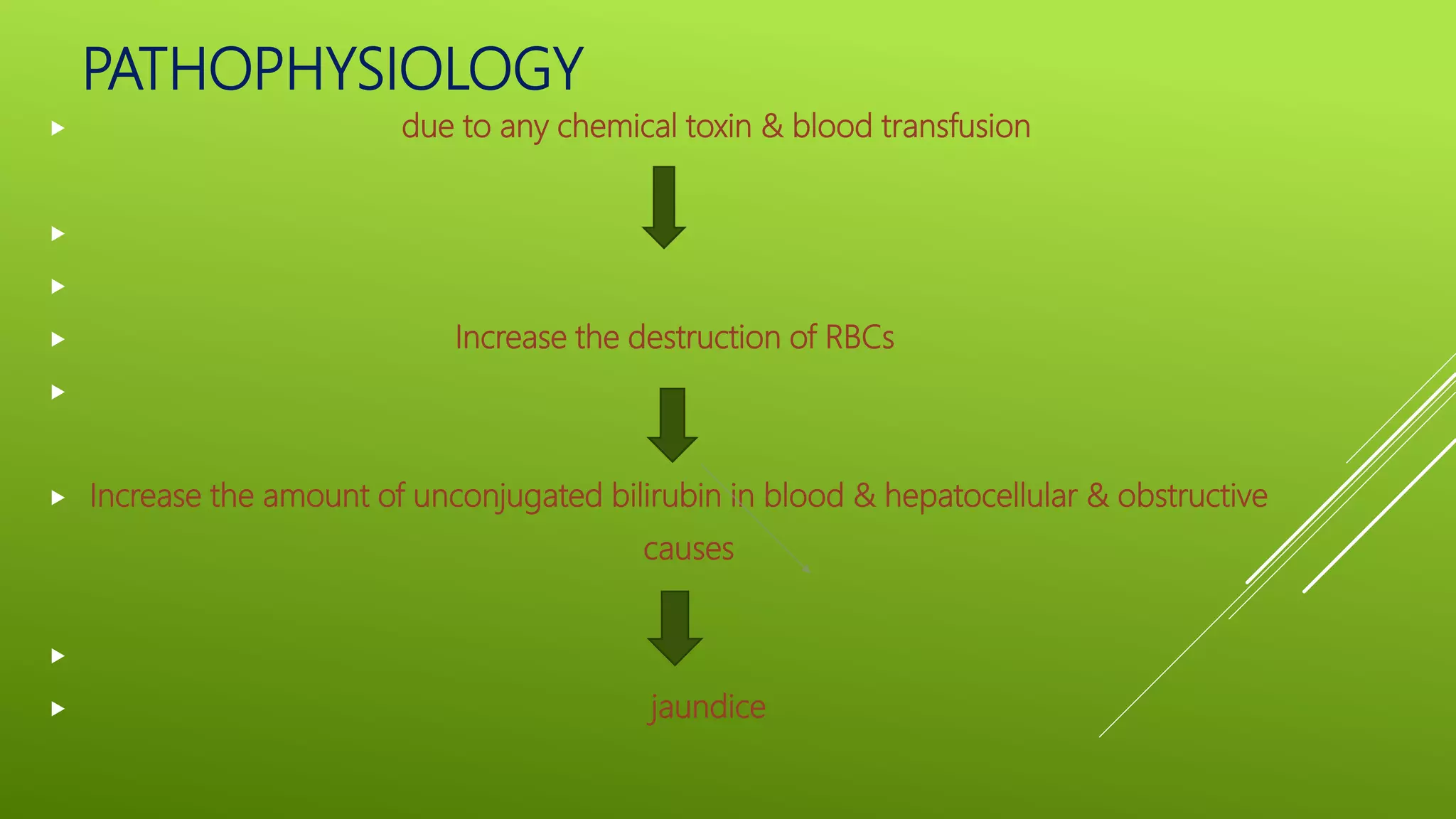 Neonatal Jaundice Pathophysiology Flow Chart