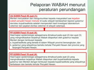 Kesiagaan Darurat Wabah Penyakit Hewan - Australia Indonesia Partnership Emerging Infectious ...
