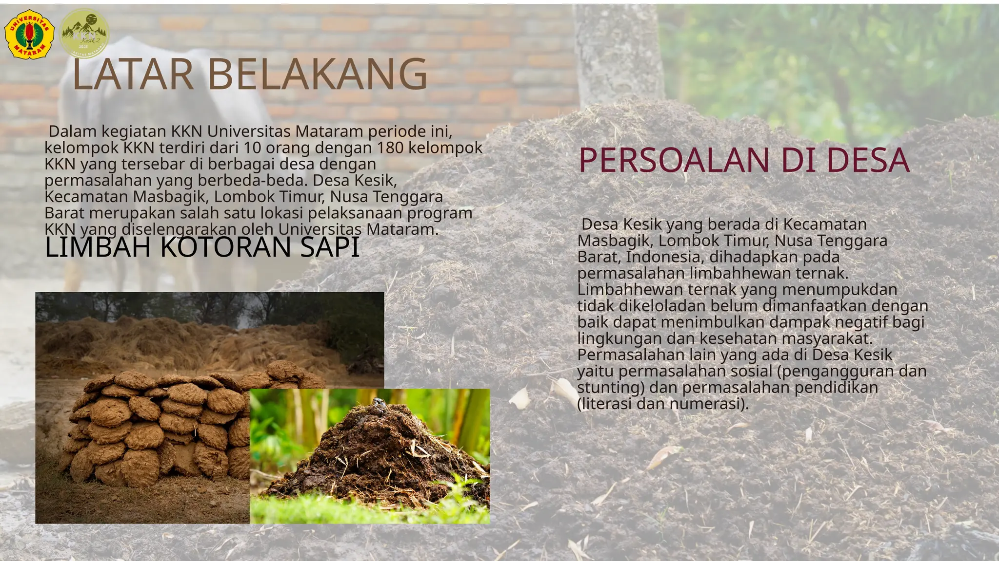 CONTOH PPT UNTUK SEMINAR PROPOSAL KKN.pptx