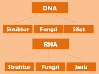 Penjelasan singkat tentang perbedaan DNA dan RNA | PPTX