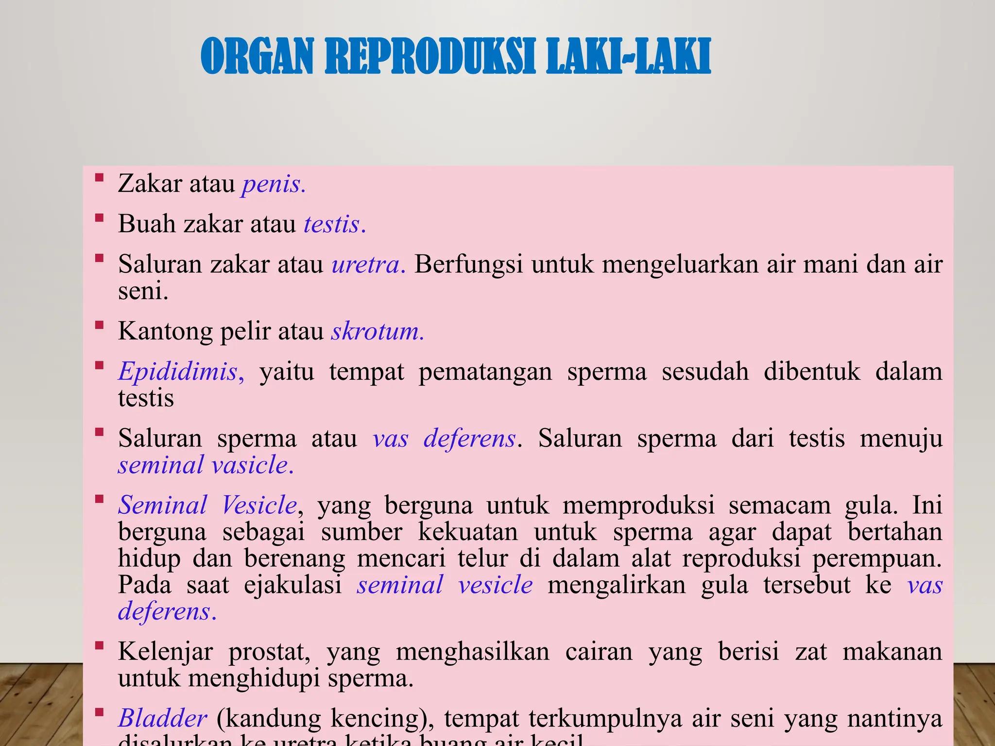 keseheyan reproduksi REMAJA menuju 100 tahun merdeka.pptx