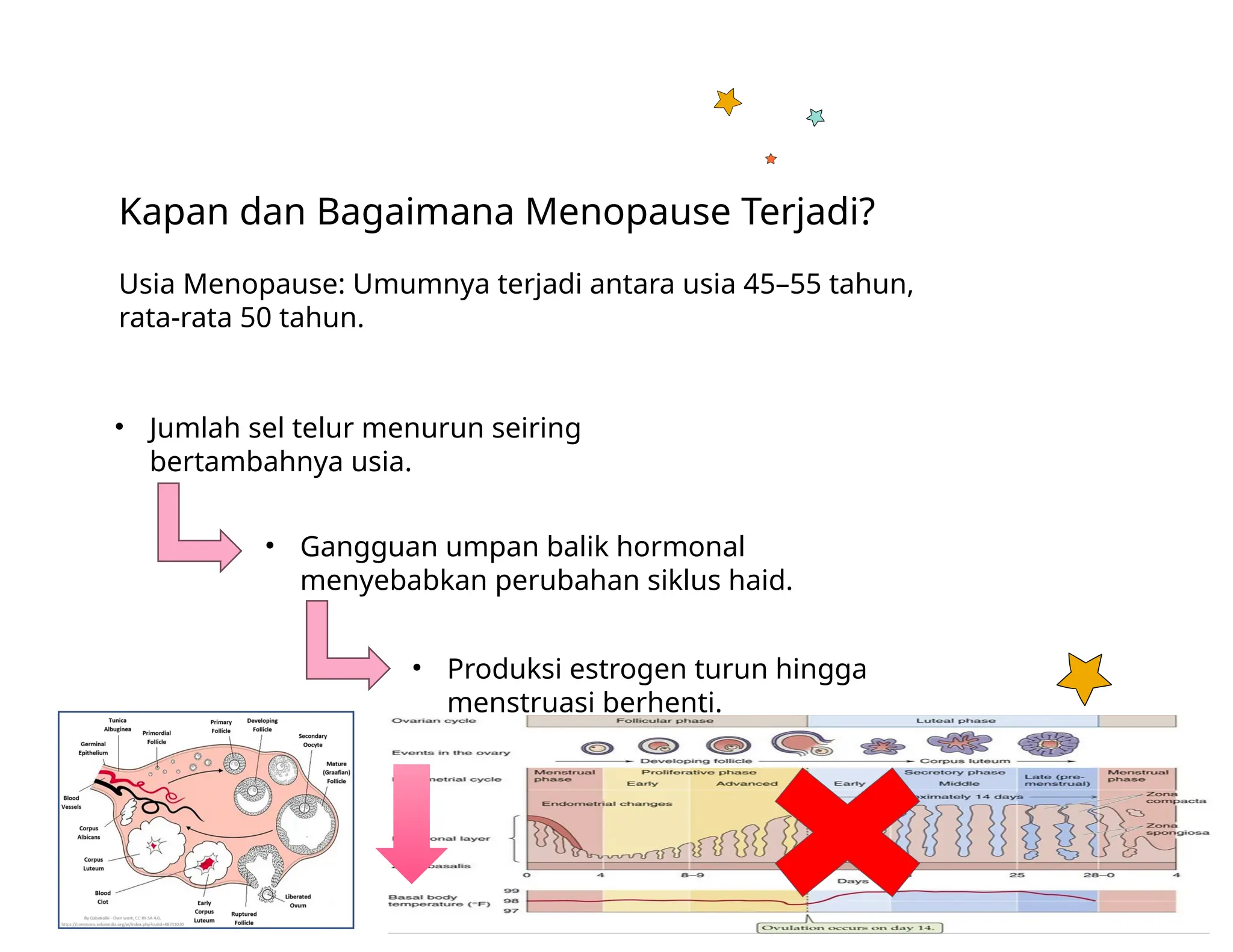 Kesehatan reproduksi wanita siklus menstruasi.pptx