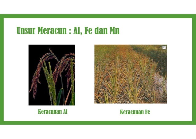 Kesuburan tanah | PDF