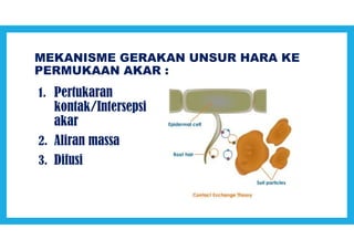 Kesuburan tanah | PDF