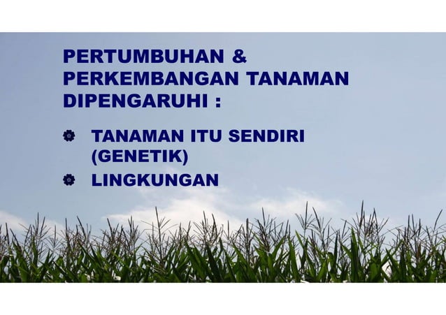 Kesuburan tanah | PDF