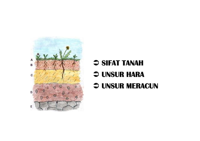 Kesuburan tanah | PDF