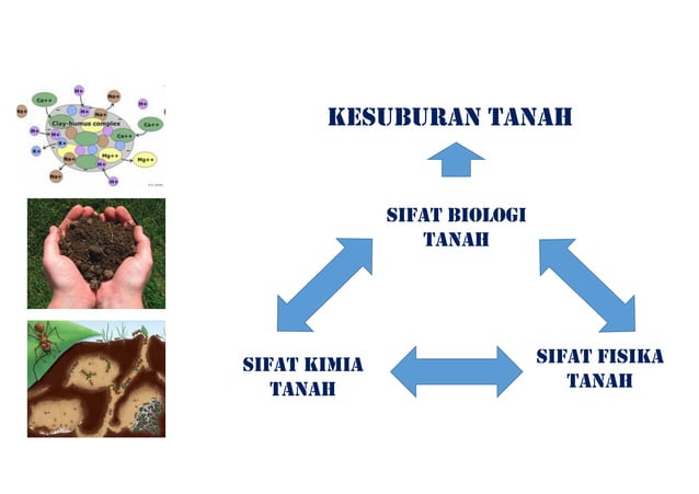 Kesuburan tanah | PDF