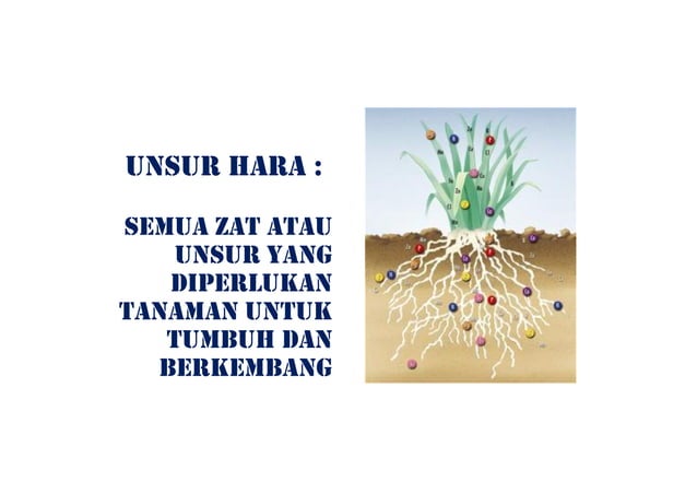 Kesuburan tanah | PDF