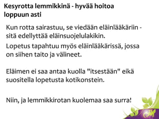 Kesyrotta lemmikkinä, Jonna Nevalainen, Faunatar | PDF