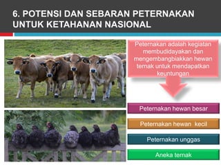 KETAHANAN PANGAN - Ketahanan Pangan Industri dan Energi - Pendidikan ...