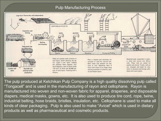 Ketchikan Pulp Company | PPT