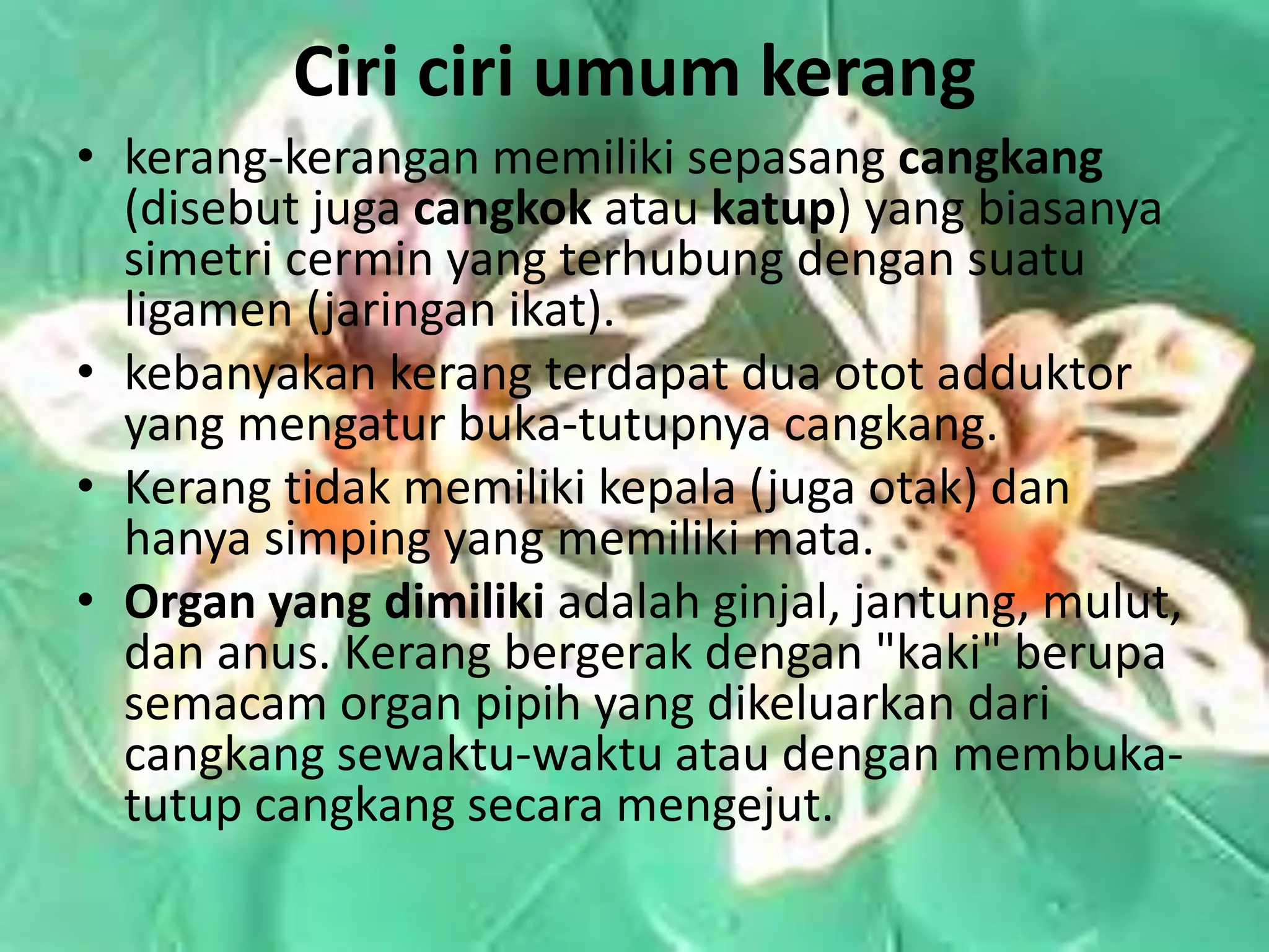 Keterampilan kulit kerang | PPTX