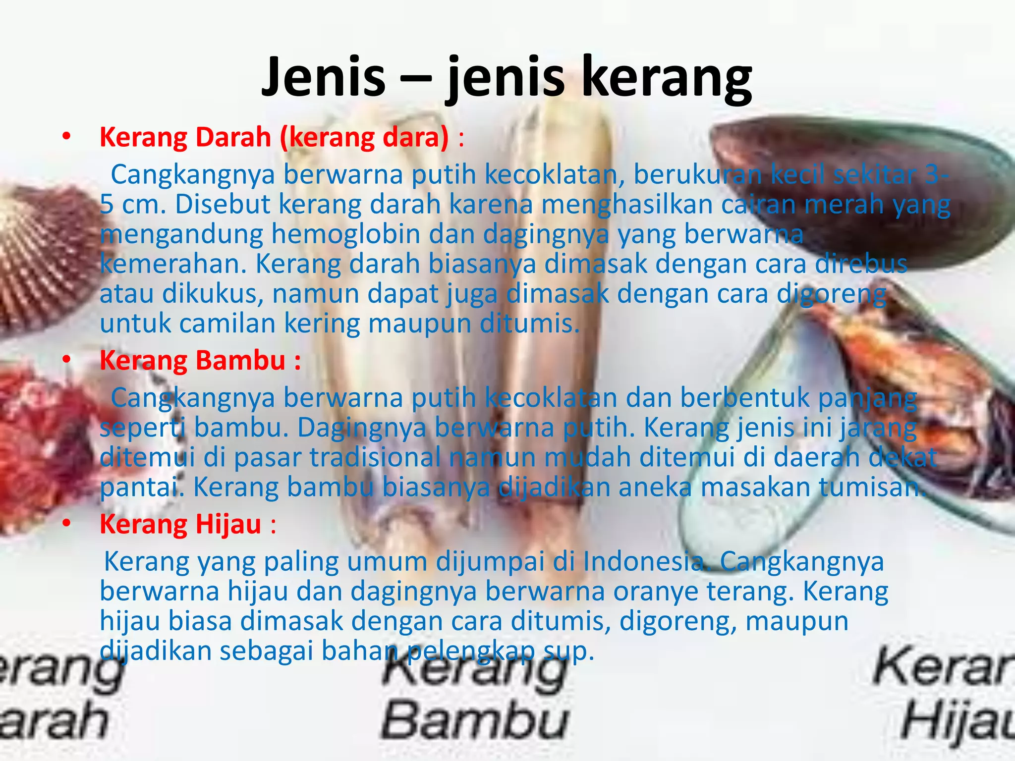 Keterampilan kulit kerang | PPTX