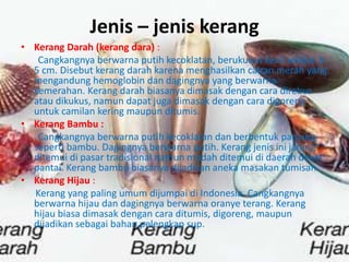 Keterampilan kulit kerang | PPTX