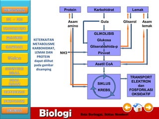 Keterkaitan met kh, lemak dan protein | PPT