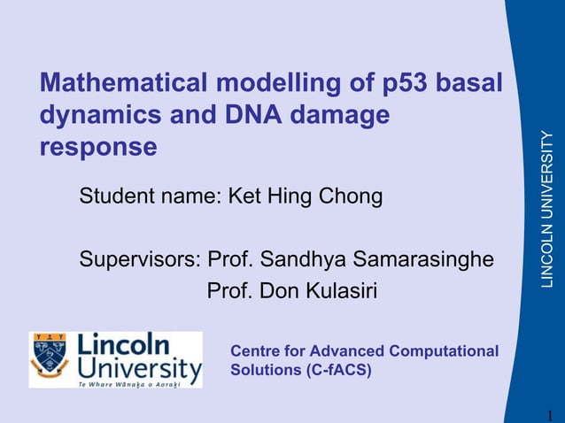 Mathematical modelling of p53 basal dynamics and DNA damage response | PPT