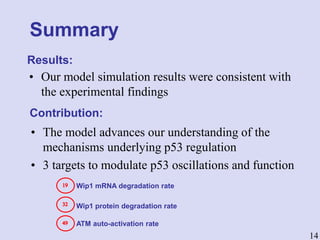 Mathematical modelling of p53 basal dynamics and DNA damage response | PPT