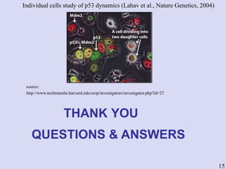 Mathematical modelling of p53 basal dynamics and DNA damage response | PPT