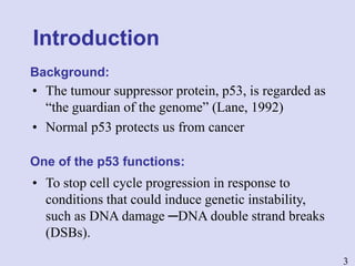 Mathematical modelling of p53 basal dynamics and DNA damage response | PPT